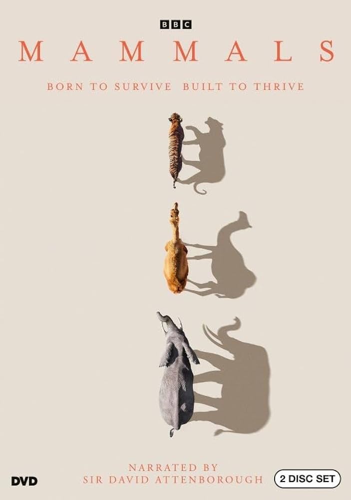 Home | Cornwall Public Library